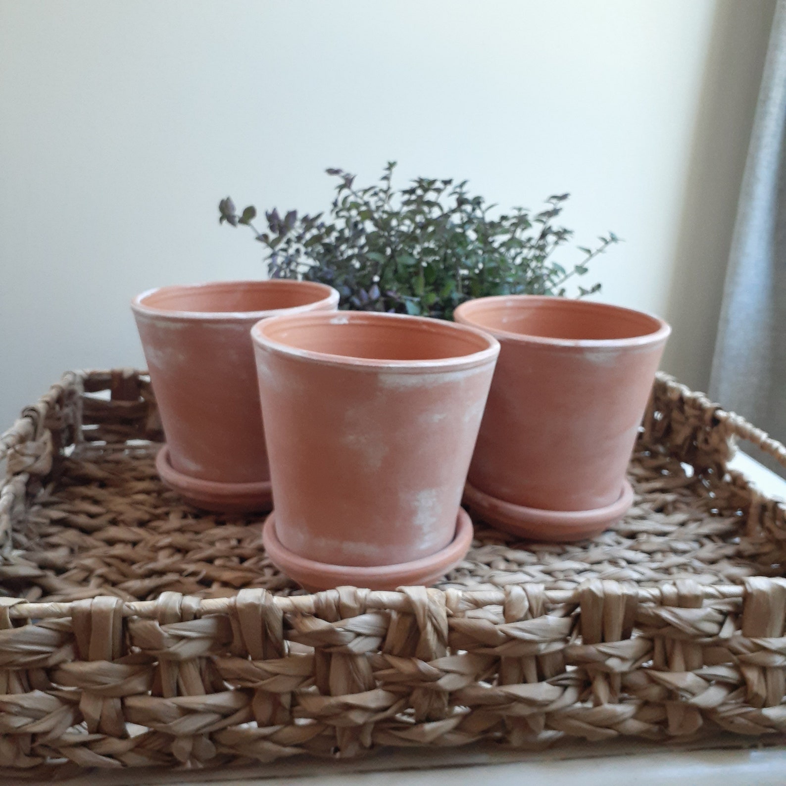 Rustic Aged Terra Cotta Pot and Saucer Herb Planter - Etsy
