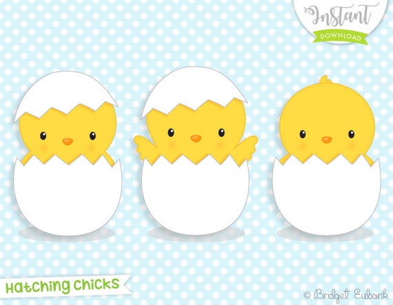 Baby Chicks Hatching Clipart