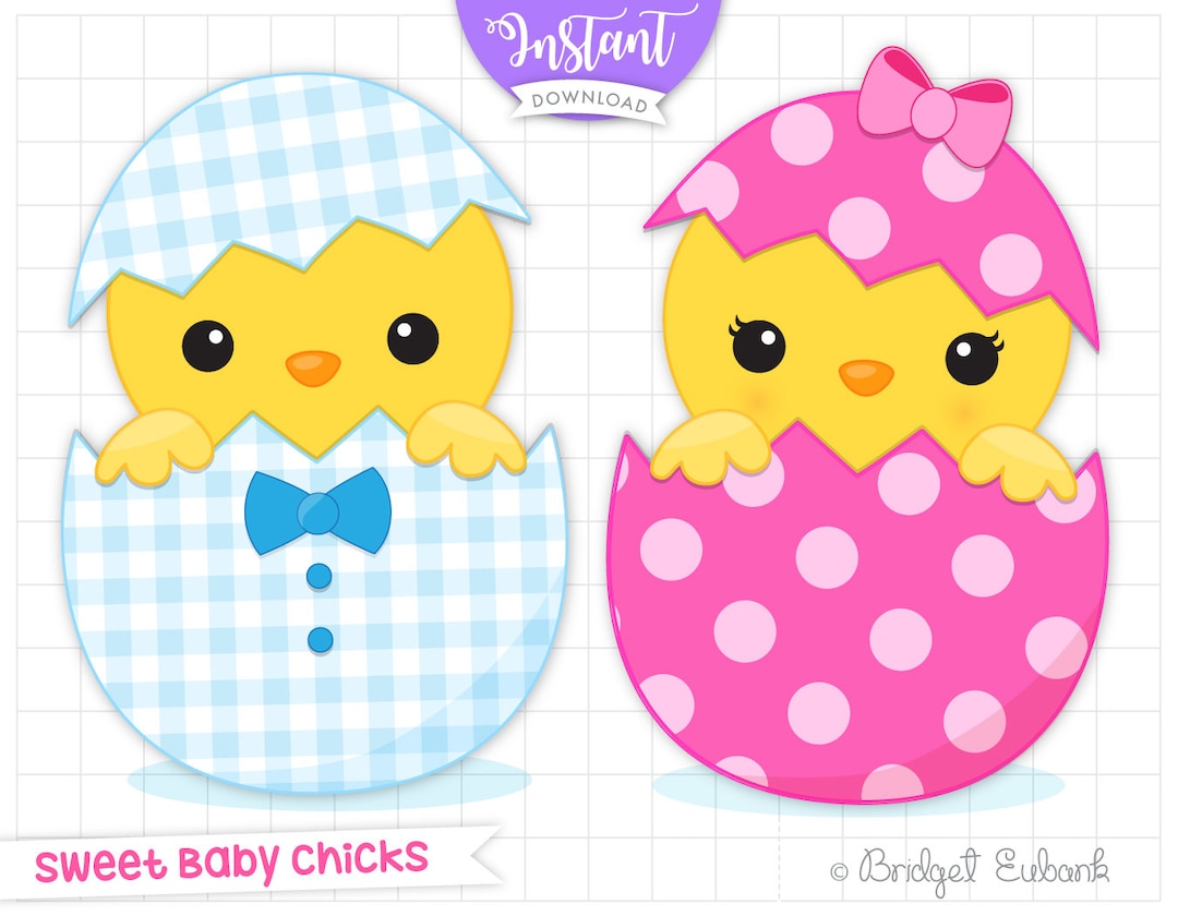 Chick Clipart, Easter Clipart, Baby Chicks Clipart, He or She, Gender ...