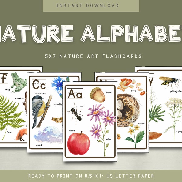 Alphabet Flashcards - Etsy