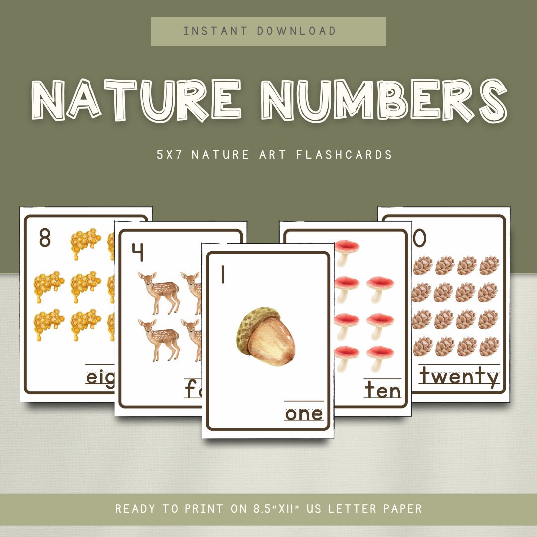 Nature Numbers Flashcards Digital Download - Etsy