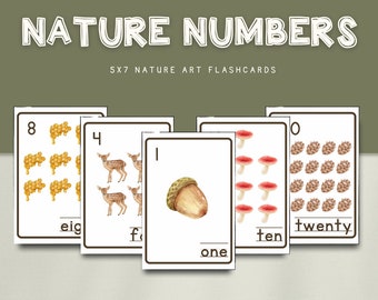 Printable Earth Day Nature Flashcards Montessori Activity Homeschool ...