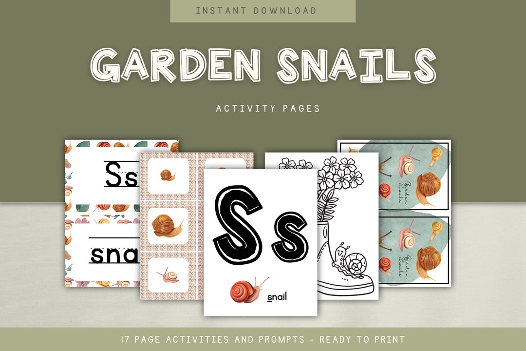 Garden Snail Preschool Activity Pages - Etsy