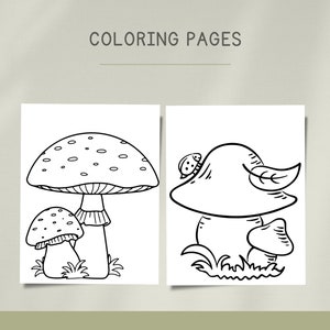 Mushrooms Preschool Activity Pages - Etsy