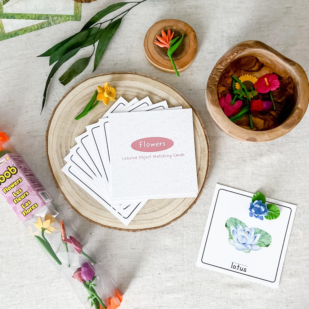 Flower Matching - Cards and Figures - Etsy