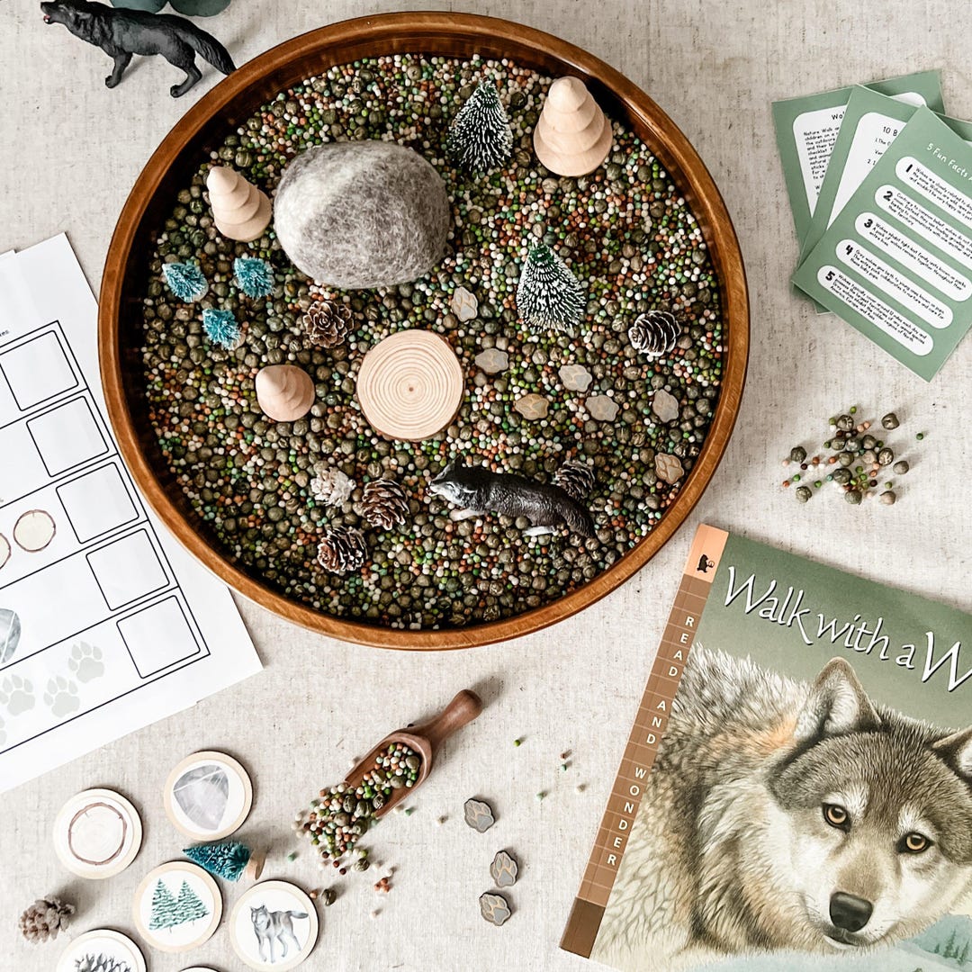 Wolf Activity Box - Etsy