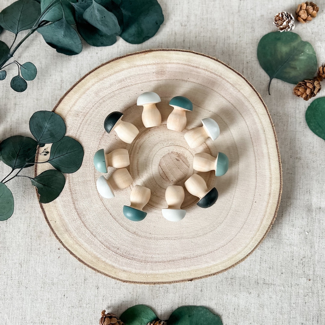 Winter Loose Parts Mushrooms - Etsy