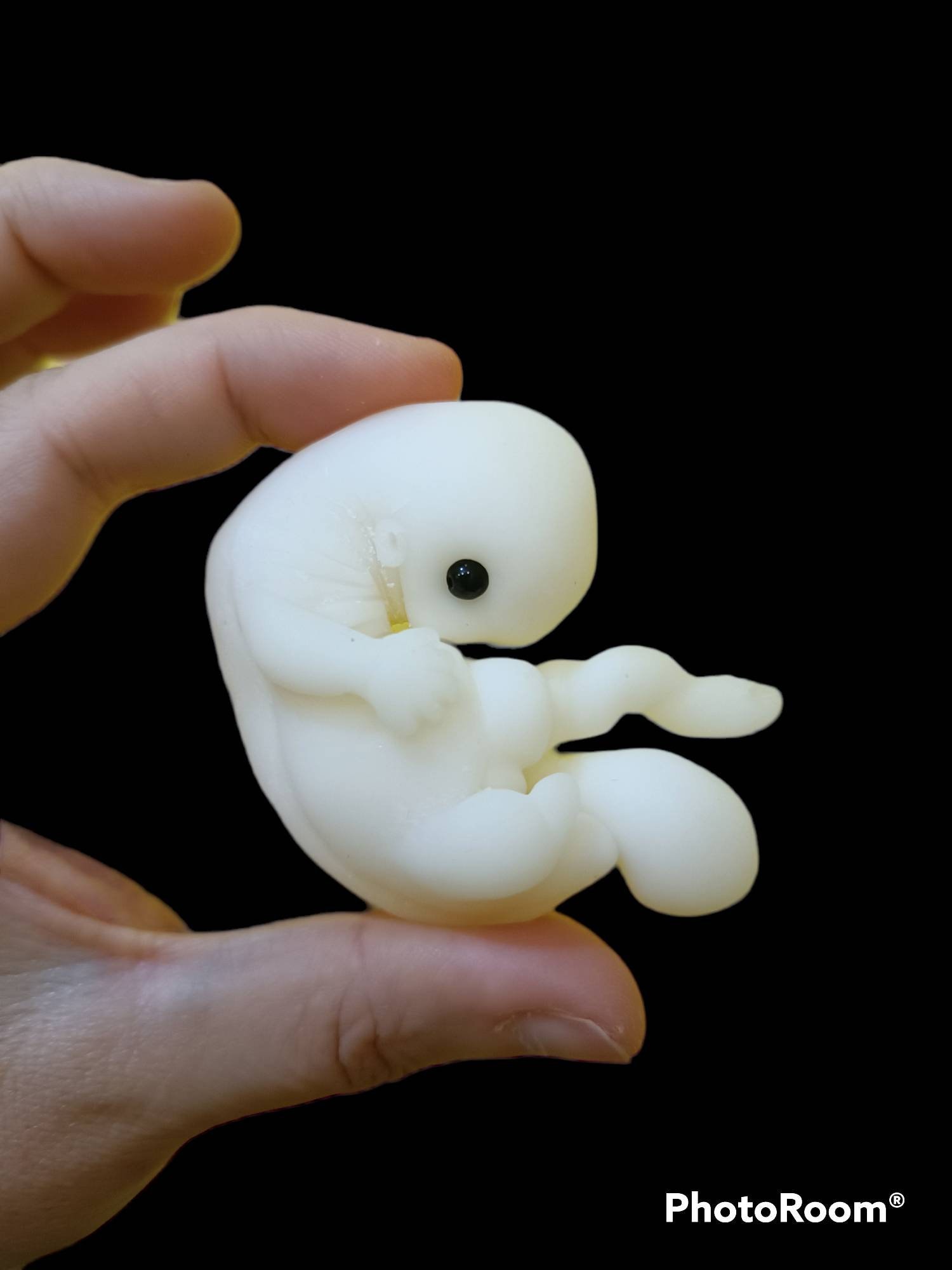 Baby In The Womb At 6 Weeks