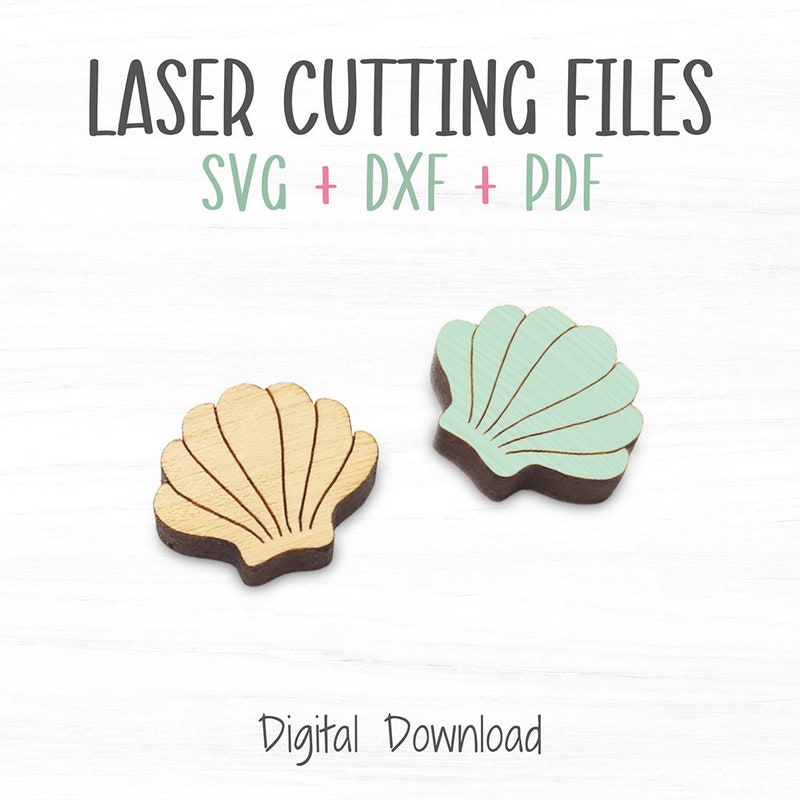 Cut Seashells - Etsy