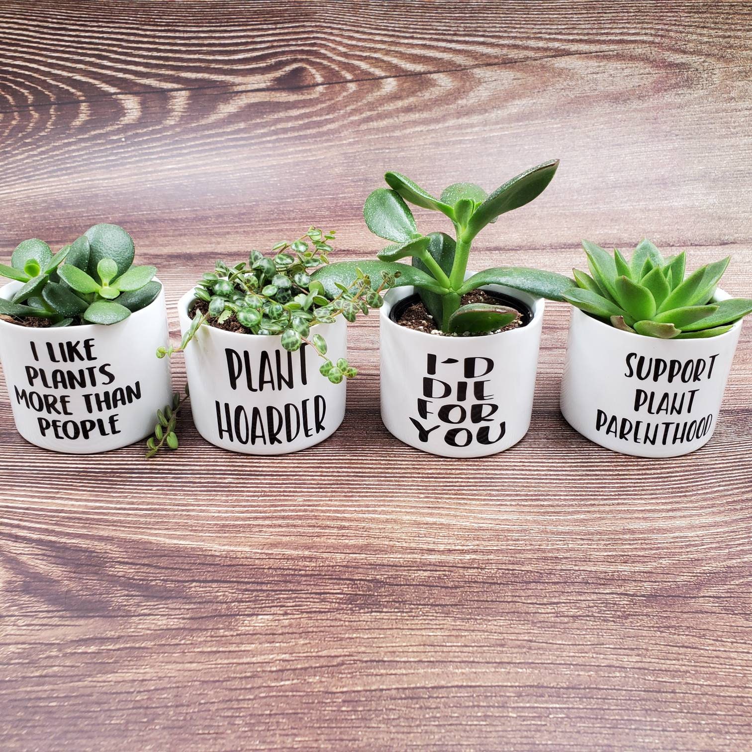 Funny Plant Planters