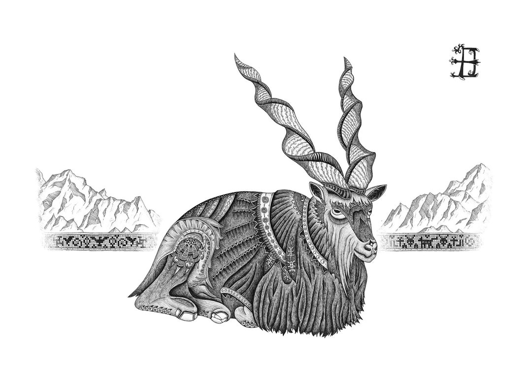 Markhor Ink Drawing Print, A3 42x30cm - Etsy