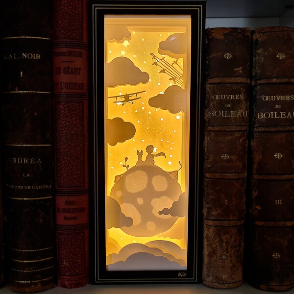 Little Library Box - Etsy