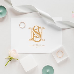 Vintage Monogram SN , NS | Wedding Logo | Wedding Clip Art | Logo ...
