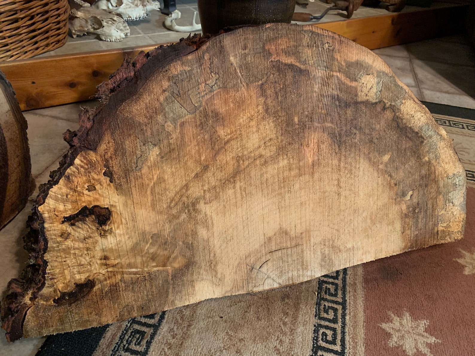 Burled Spalted Live Edge Silver Maple Half Tree Slice/ Large | Etsy