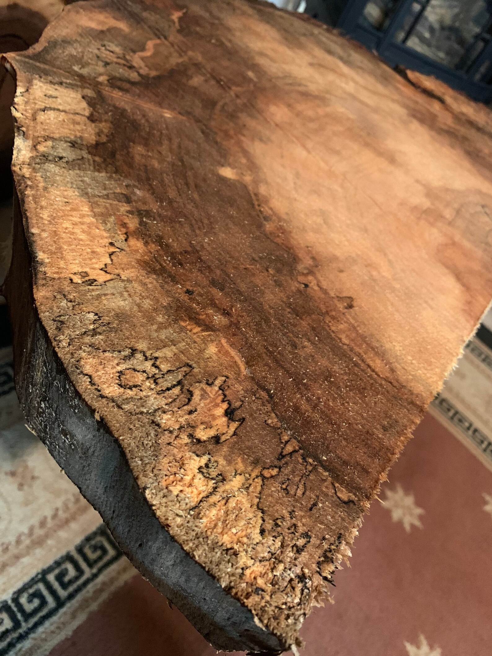 Burled Spalted Live Edge Silver Maple Half Tree Slice/ Large | Etsy