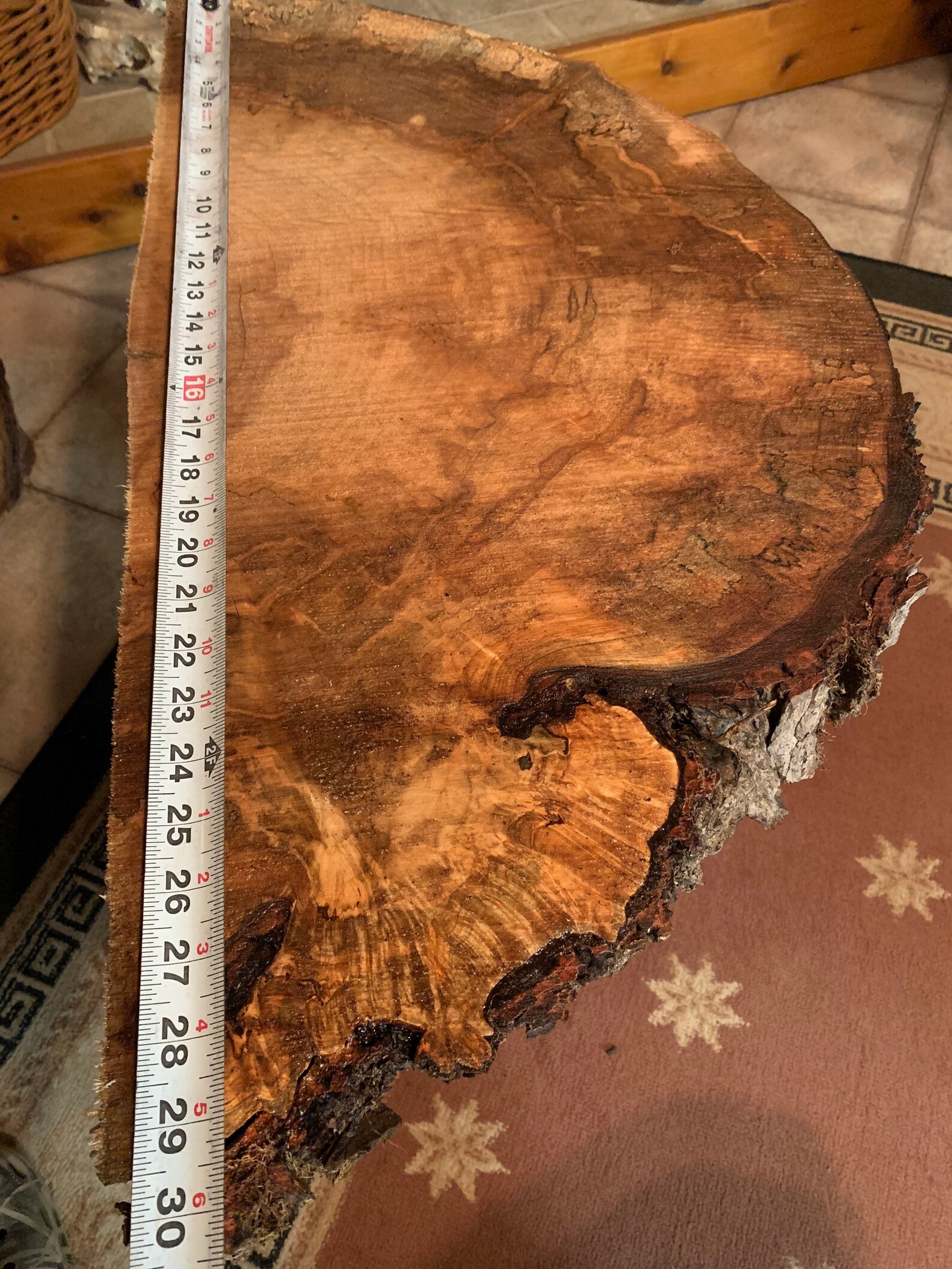 Burled Spalted Live Edge Silver Maple Half Tree Slice/ Large | Etsy