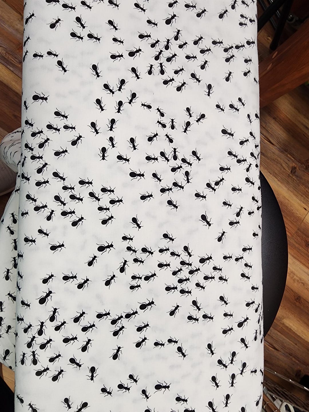 ANTS on White Cotton Sewing Fabric, Tablecloths, Picnic Accessories, More, 44 Inches Wide by 36 ...