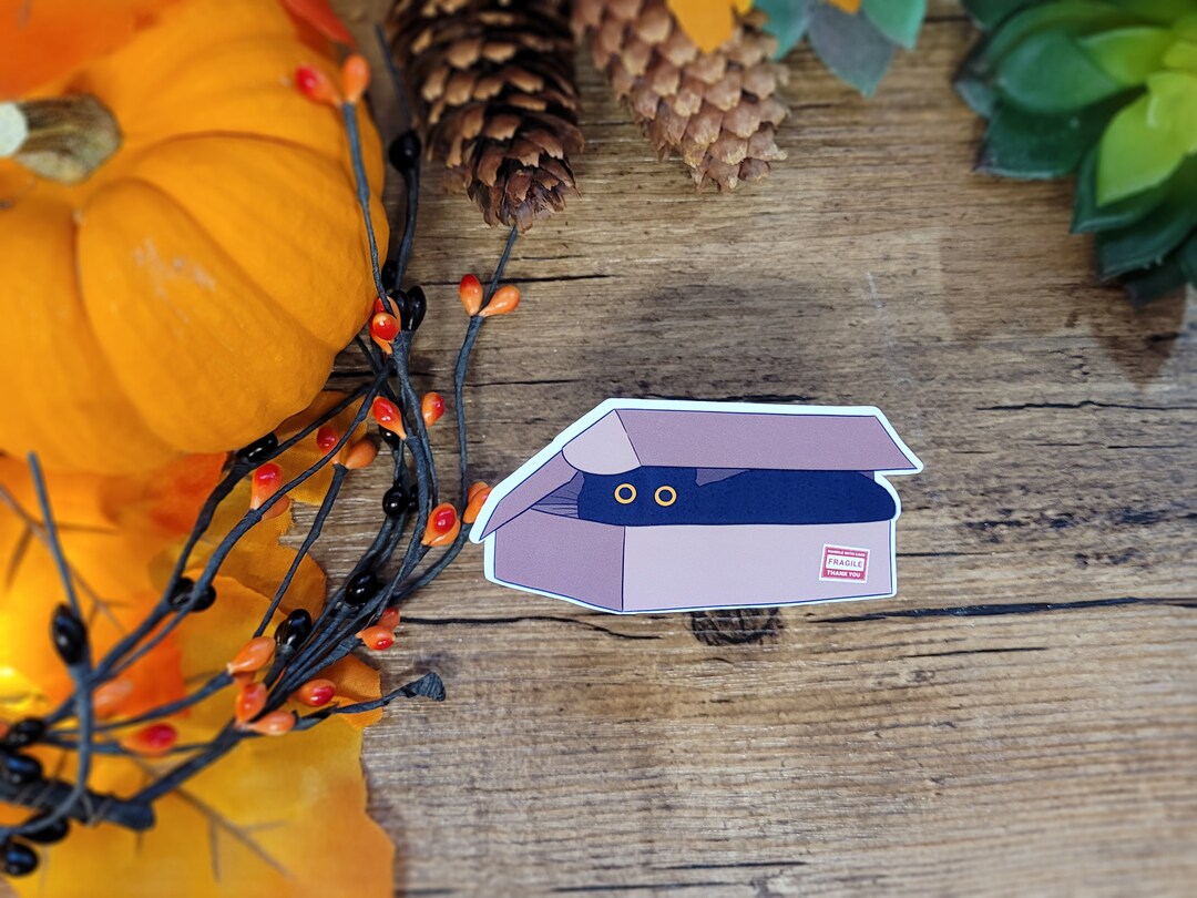 Box Cat - Fragile - Sticker - Etsy