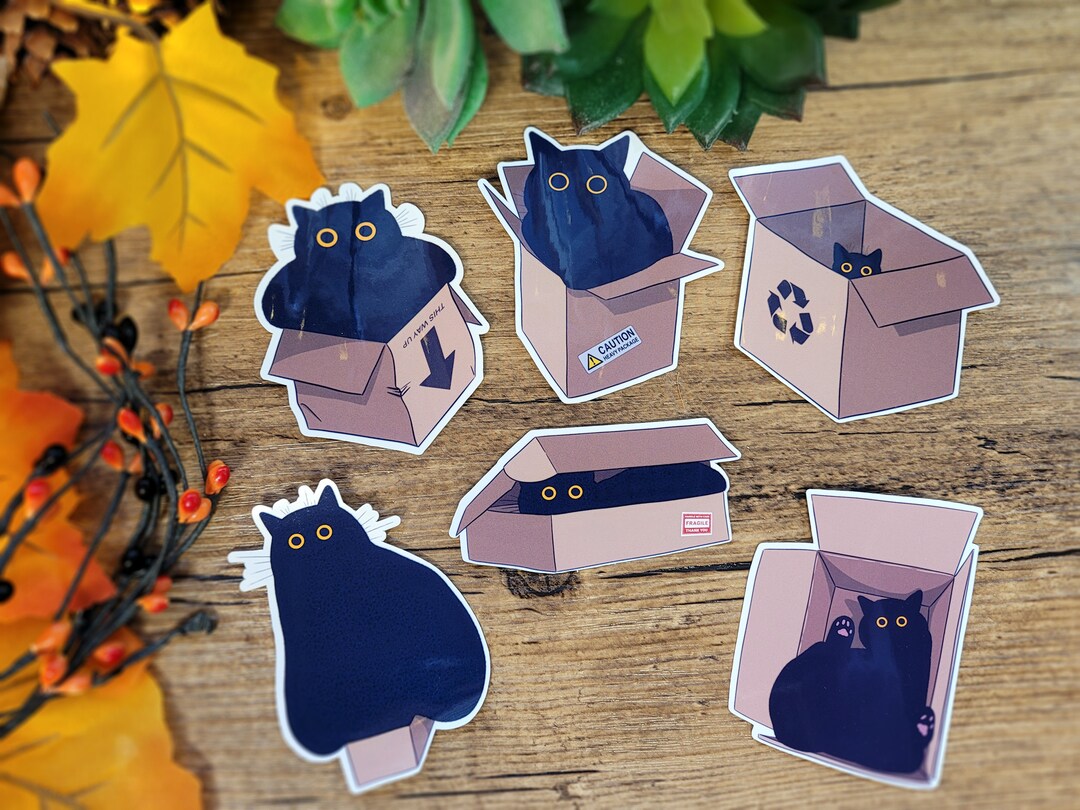 Box Cat Sticker Pack - Etsy