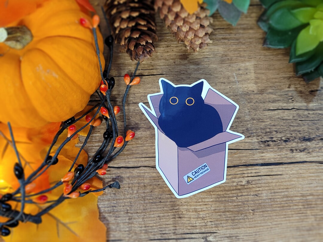 Box Cat - Heavy Package - Sticker - Etsy