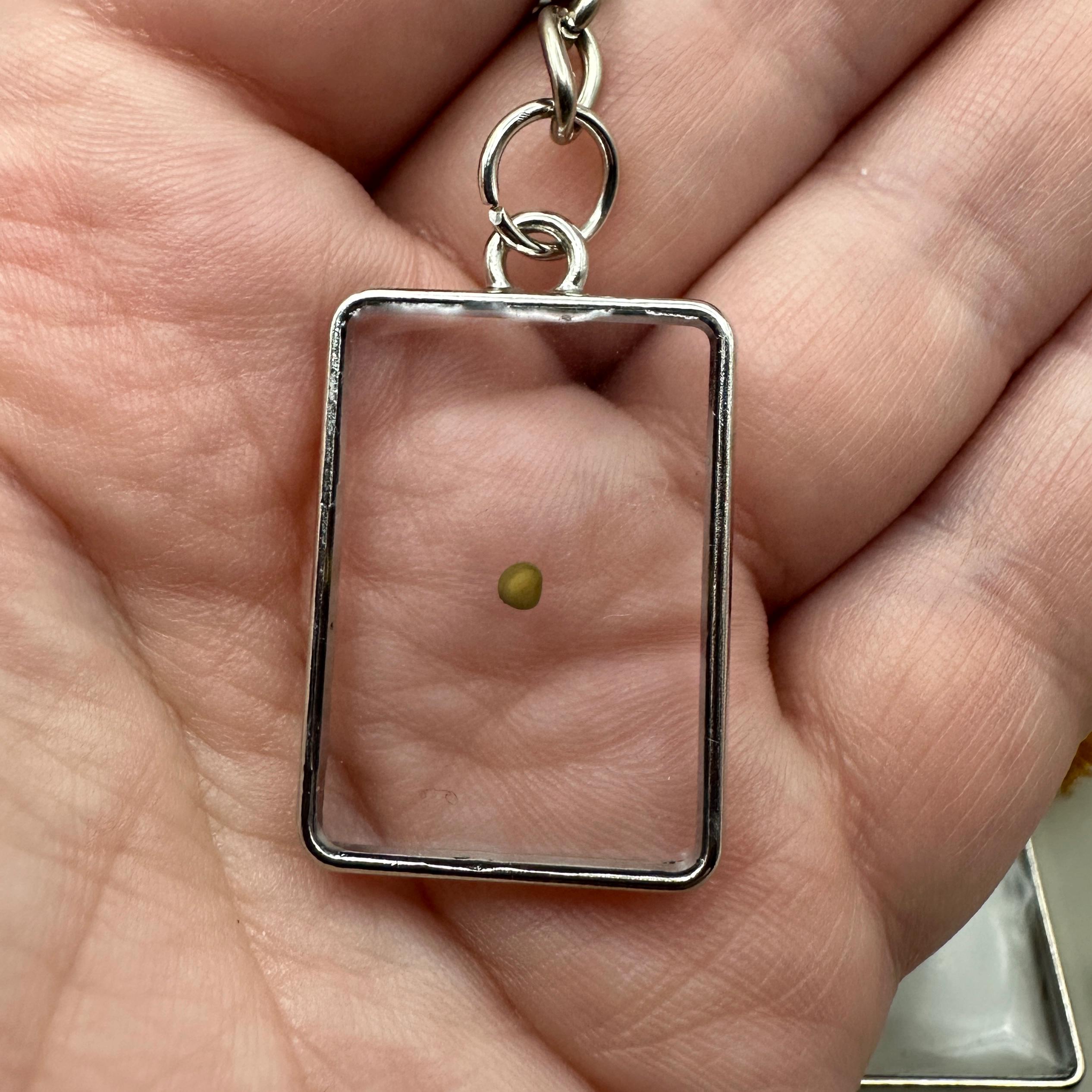 Mustard Seed Key Ring - Faith Keychain - Etsy