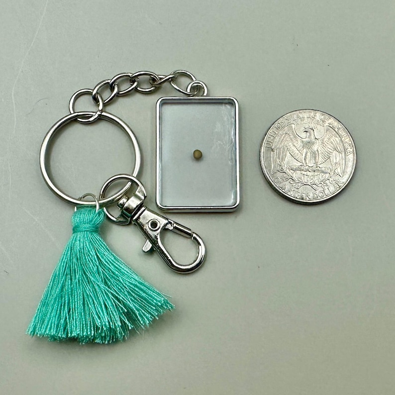 Mustard Seed Key Ring - Faith Keychain - Etsy