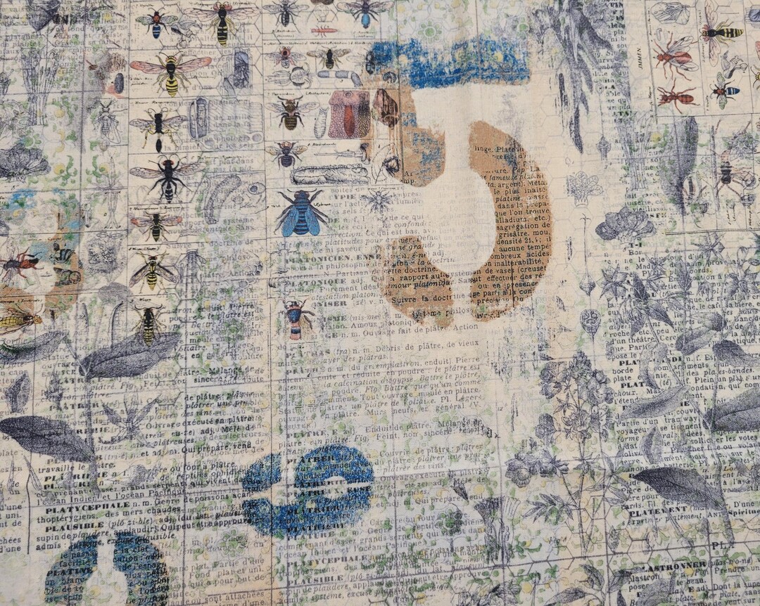 Insects Cotton Fabric Sold by the Yard - Etsy