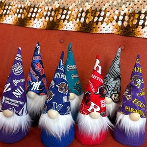 COLLEGE GNOMES, University Gnomes, College Teams Rally Gnomes ...