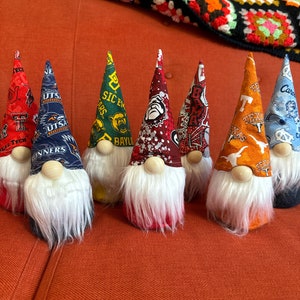 COLLEGE GNOMES, University Gnomes, College Teams Rally Gnomes ...