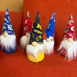 COLLEGE GNOMES, University Gnomes, College Teams Rally Gnomes ...
