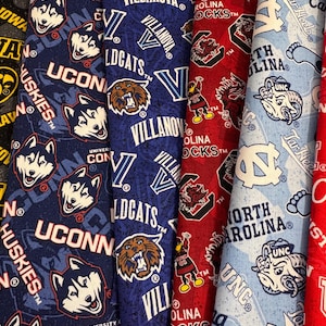 COLLEGE GNOMES, University Gnomes, College Teams Rally Gnomes ...