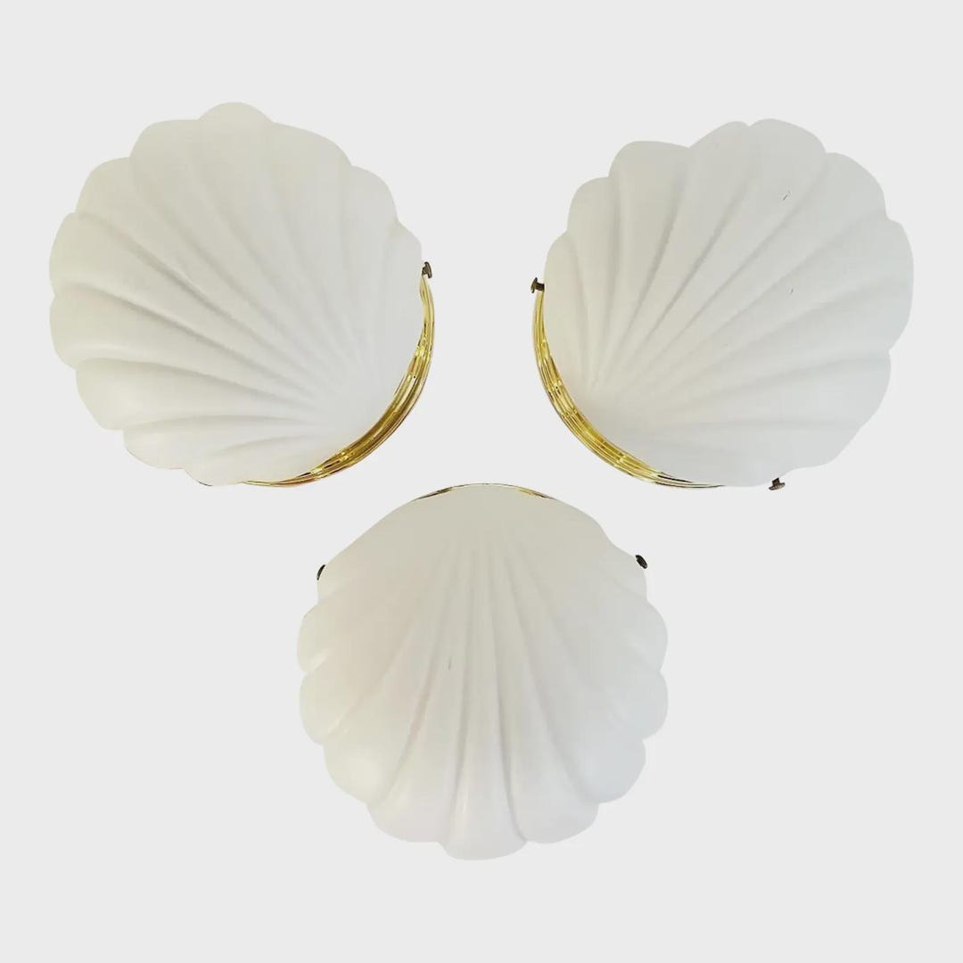 Scallop Shell Sconces - Set of Three - Etsy
