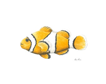 Clown Fish Watercolor Fine Art Print - Etsy