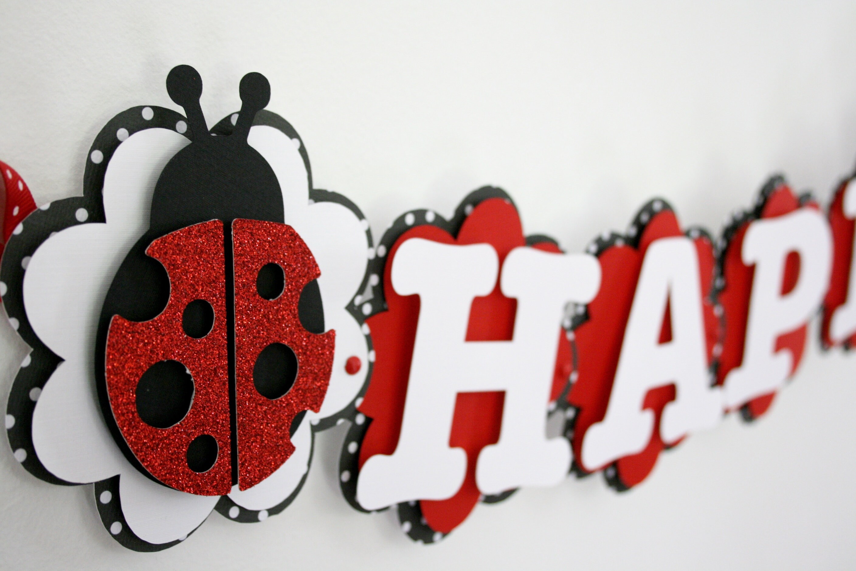 Lady Bug Decorations Red and Black Party Colors Lady Bug | Etsy