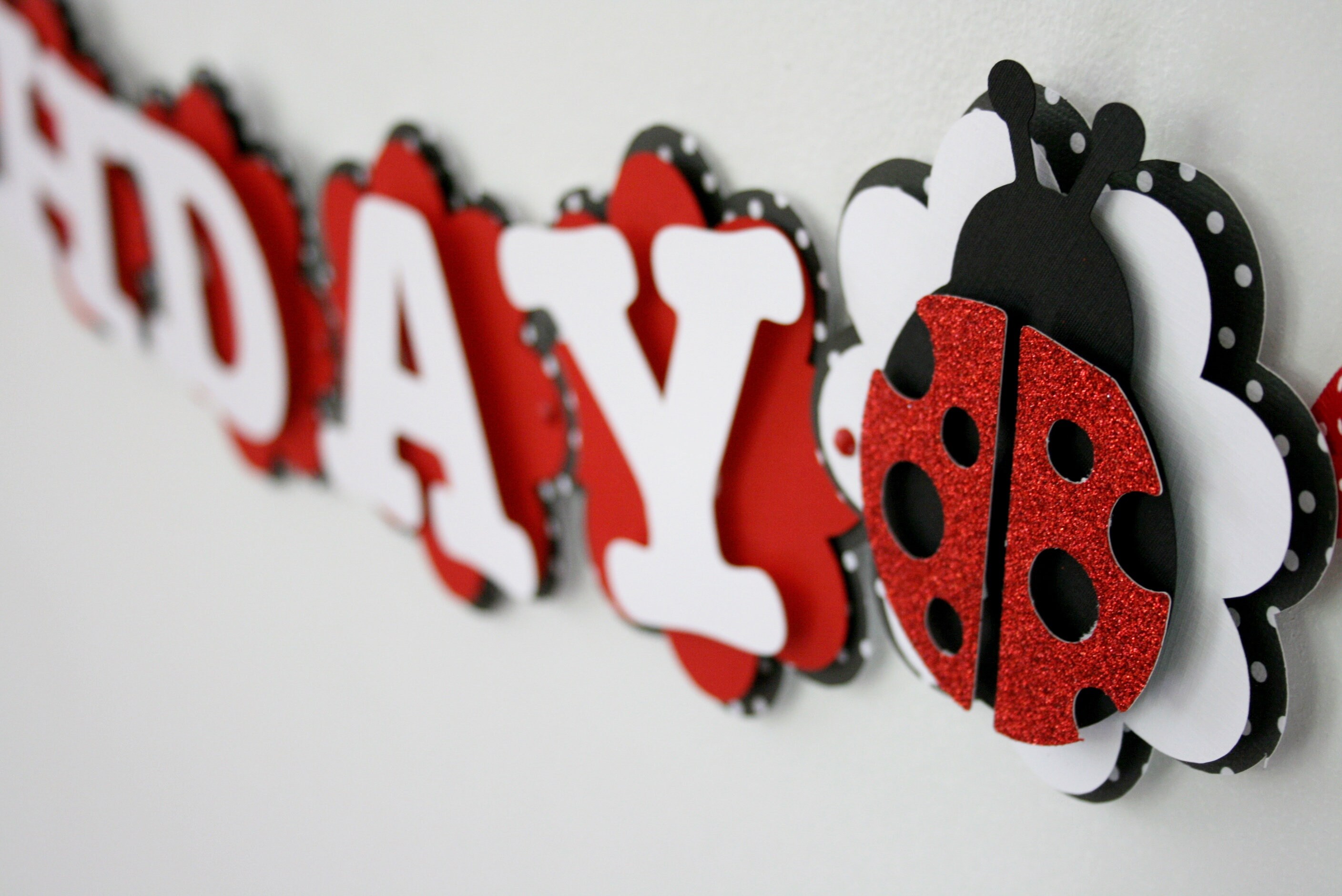 Lady Bug Decorations Red and Black Party Colors Lady Bug | Etsy