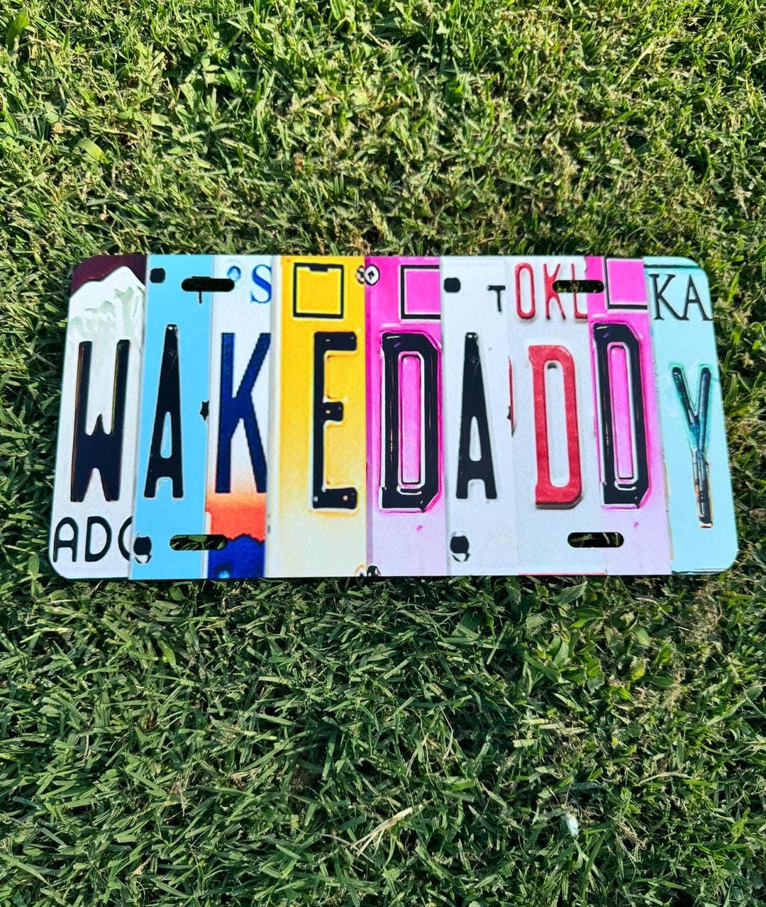 Wake Daddy License Plate, Beach Mixed License Plates, Realistic Looking ...