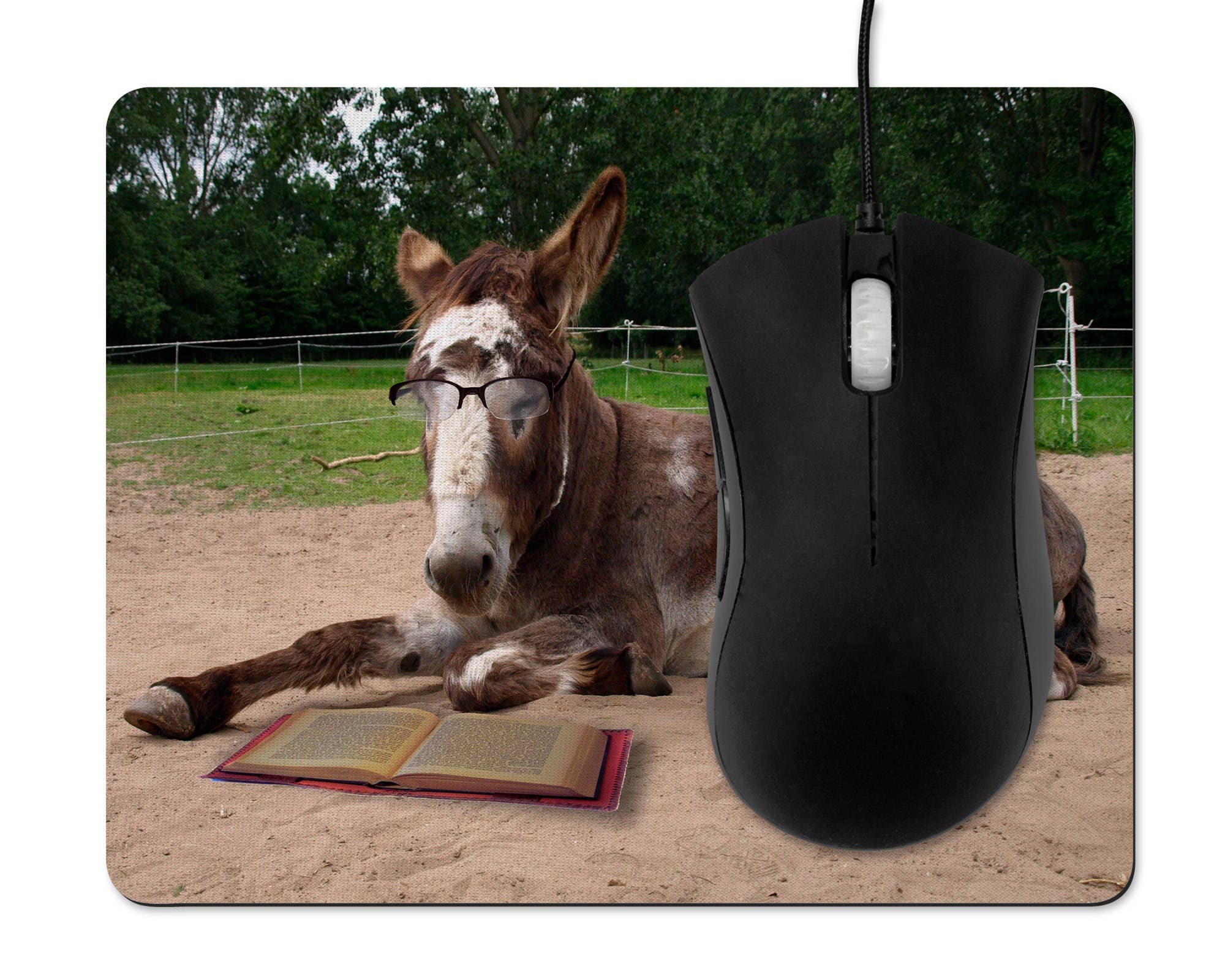 Smart Donkey Mouse Pad/Desk Coaster Set | Etsy