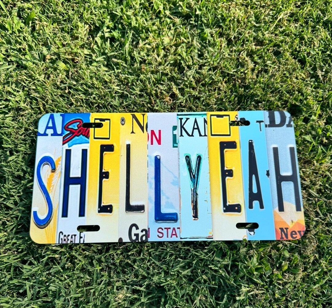 Beach License Plate,mixed License Plates, Realistic Looking, Not True ...
