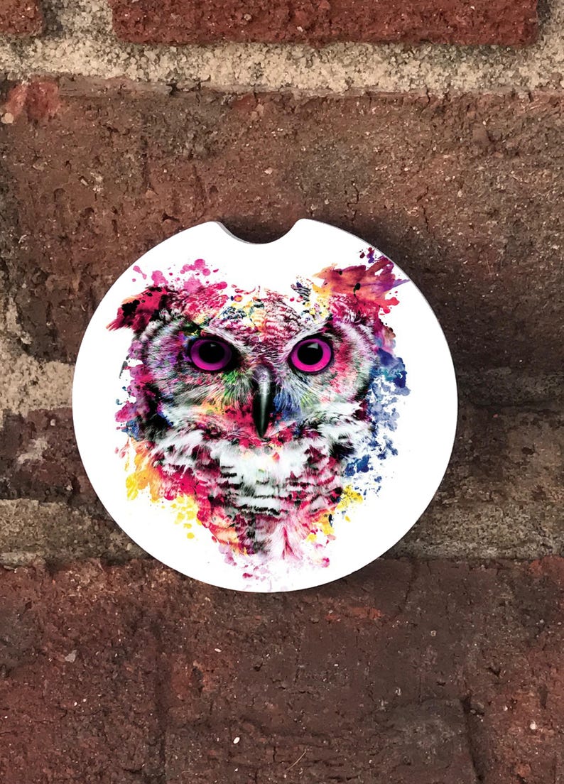 Colorful Owl Car Coasters (set of 2) - Etsy