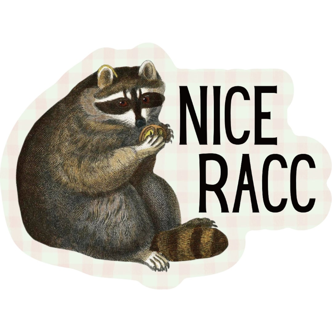 Nice Racc Die Cut Vinyl Sticker | Weatherproof Glossy Cellphone Funny ...
