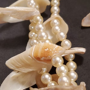 Faux Pearls Angel Wings Sea Shells Necklace Earrings Set - Etsy