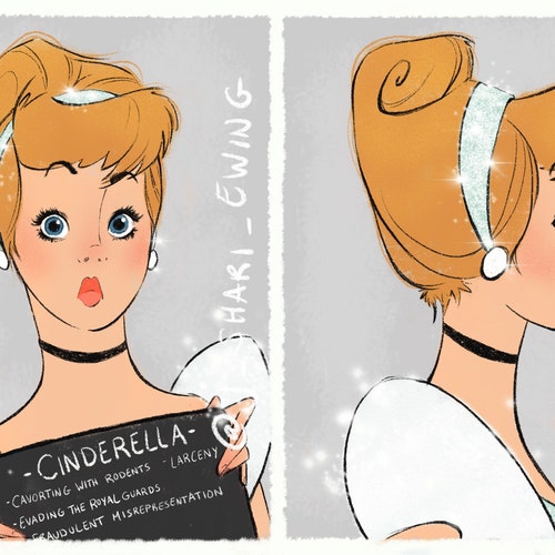 Princess Mugshots Mulan - Etsy