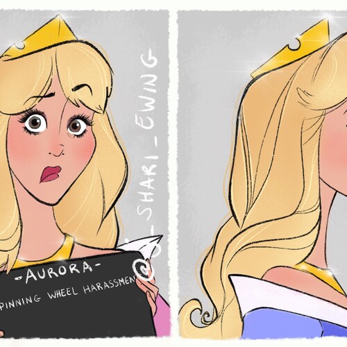 Princess Mugshots Mulan - Etsy