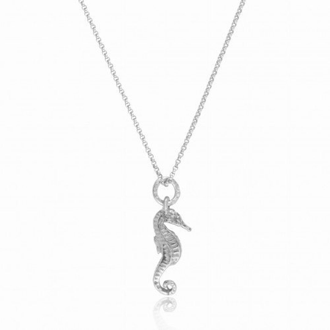 Sterling Silver Seahorse Pendant, Seahorse Chain Necklace - Etsy