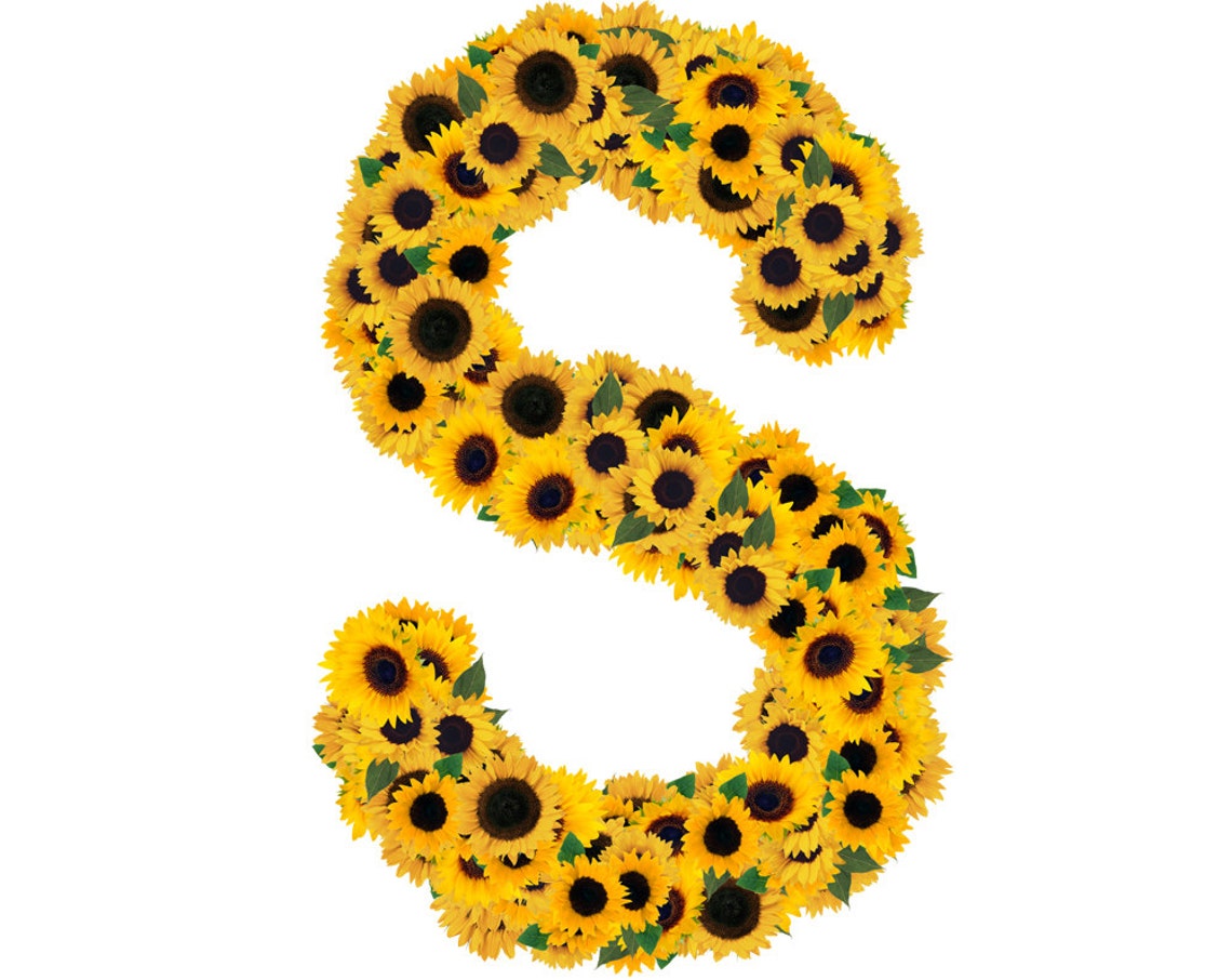 Digital Sunflowers Alphabet Summer Alphabet Floral Alphabet | Etsy