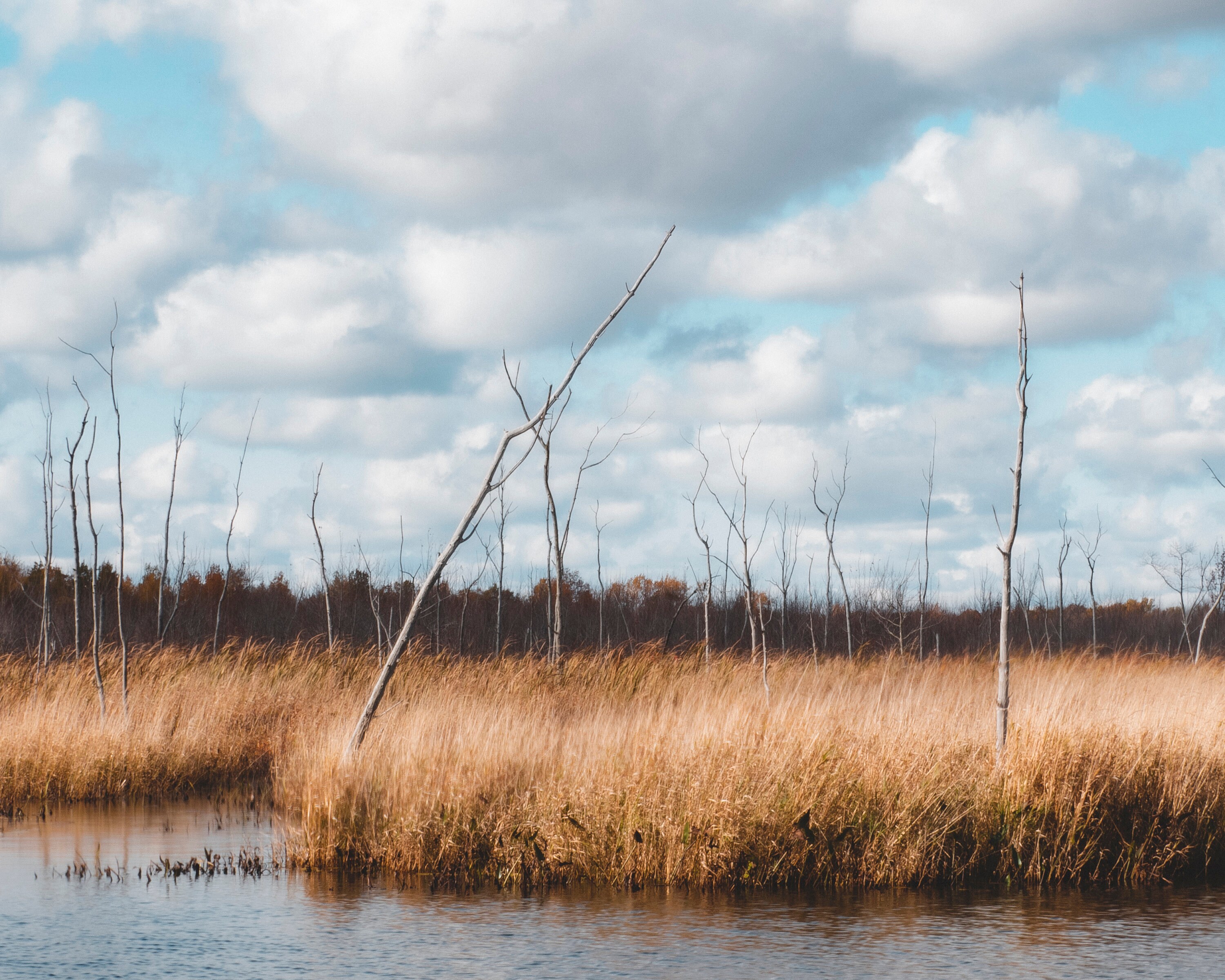 Wetlands in Fall 10x8 Photography Print - Etsy