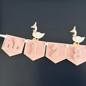 One Silly Goose First Birthday Photo Banner- One Lucky Duck - Silly ...