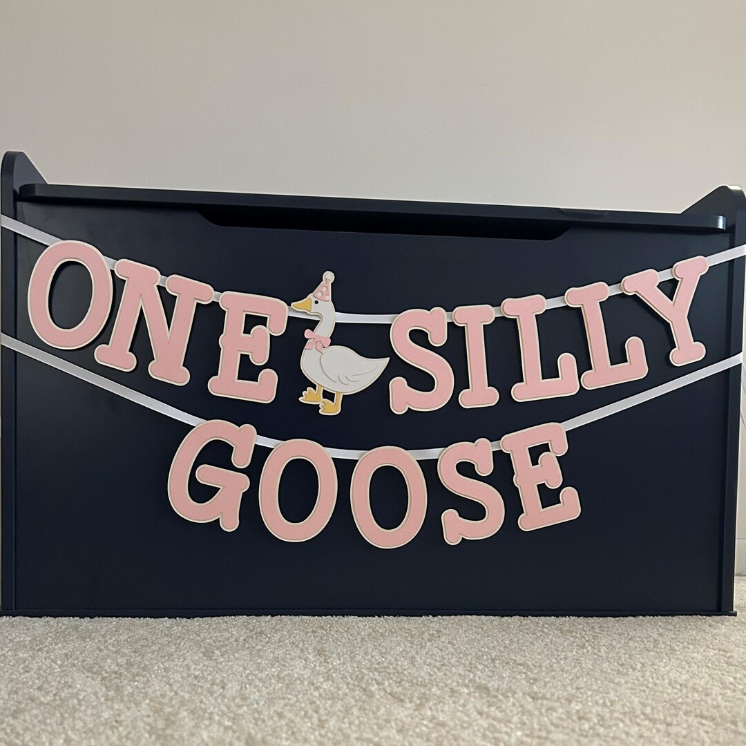 One Silly Goose Banner - First Birthday Party - 1st Birthday Decoration ...