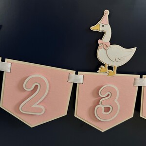 One Silly Goose First Birthday Photo Banner- One Lucky Duck - Silly ...