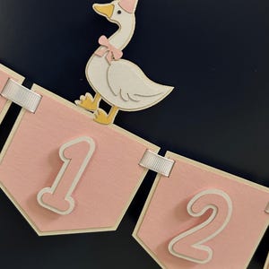One Silly Goose First Birthday Photo Banner- One Lucky Duck - Silly ...